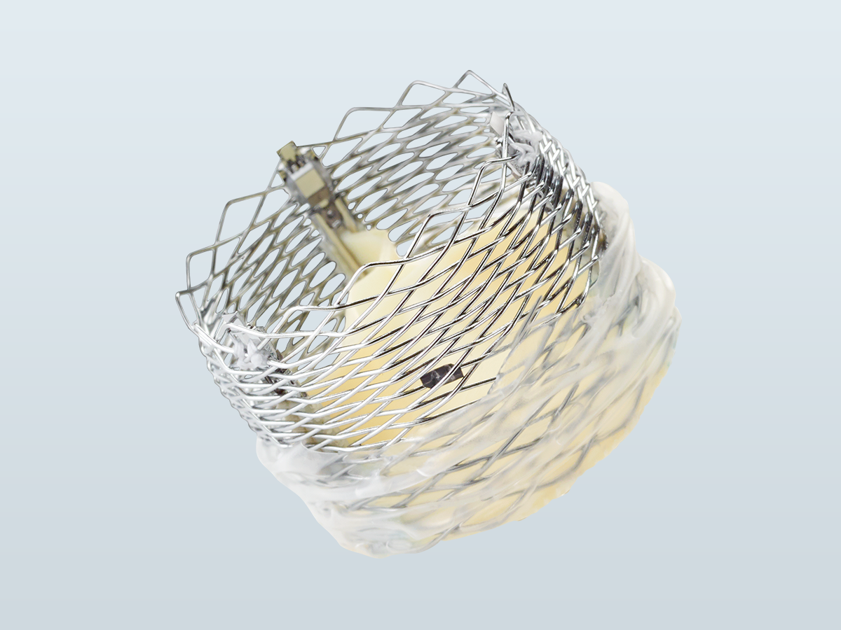 Boston Scientific set to retire Lotus Edge TAVR program | 2020-11-17 ...