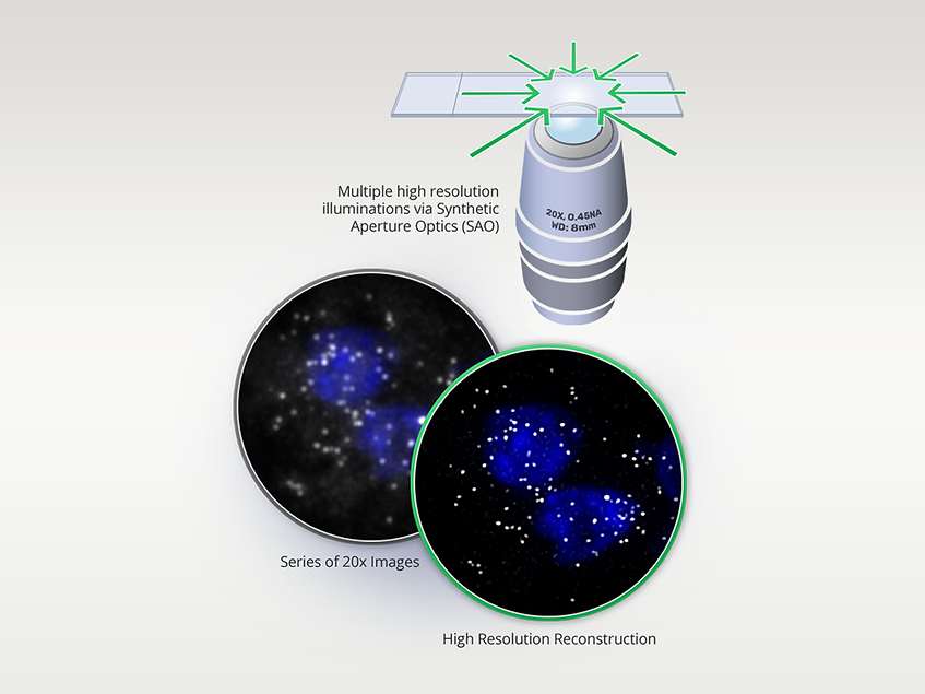 Rebus Biosystems raises $20M in series B round | 2020-11-20 | BioWorld