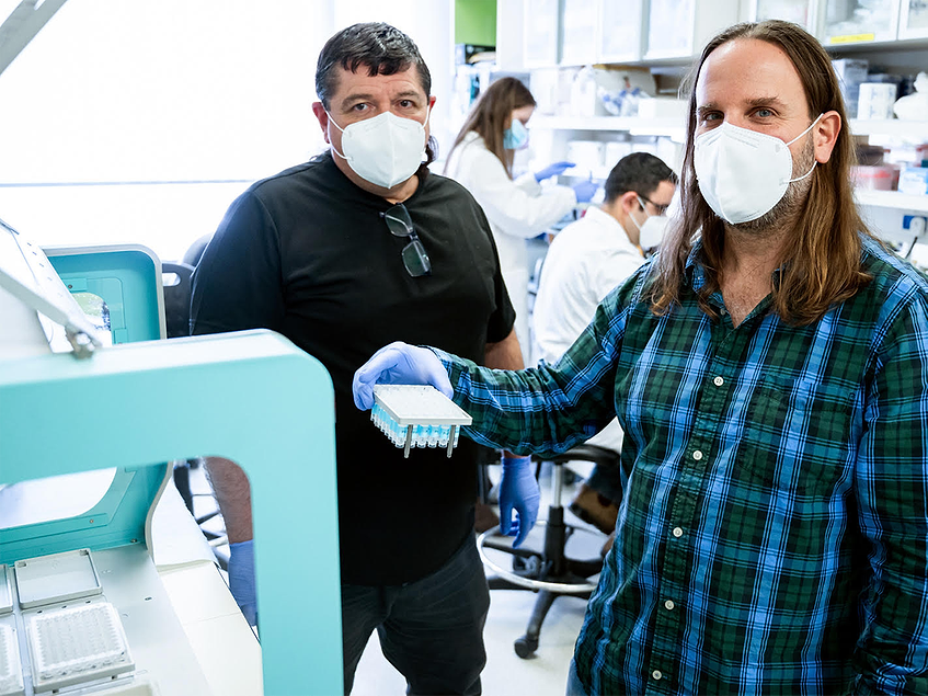 COVID-19 single-stage pooled testing method approved in Israel | 2020 ...