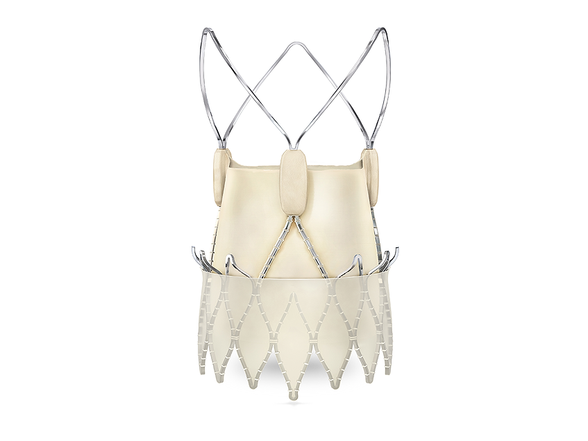 Boston Scientific debuts next-gen aortic valve system in Europe | 2020 ...