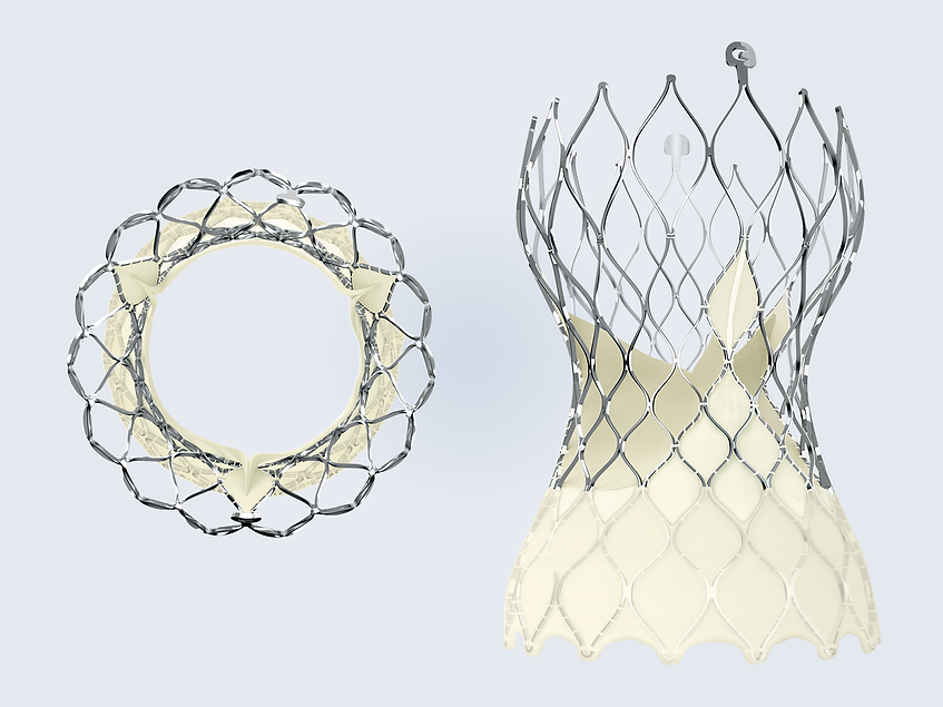FDA approves Medtronic Evolut for expanded redo TAVR indication | BioWorld