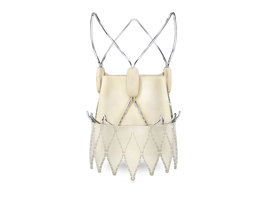 Boston Scientific’s Neo2 outshines forerunner in new studies | 2021-05 ...