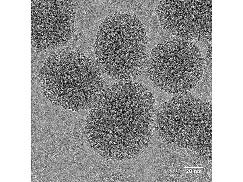 Research team develops novel nanoparticle that delivers drugs directly ...