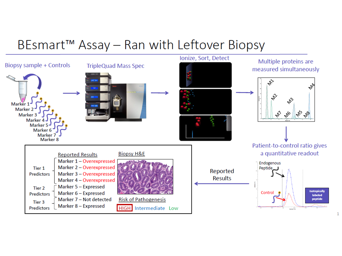Prophase Labs Prph Stock News Prophase Labs Latest News Tipranks
