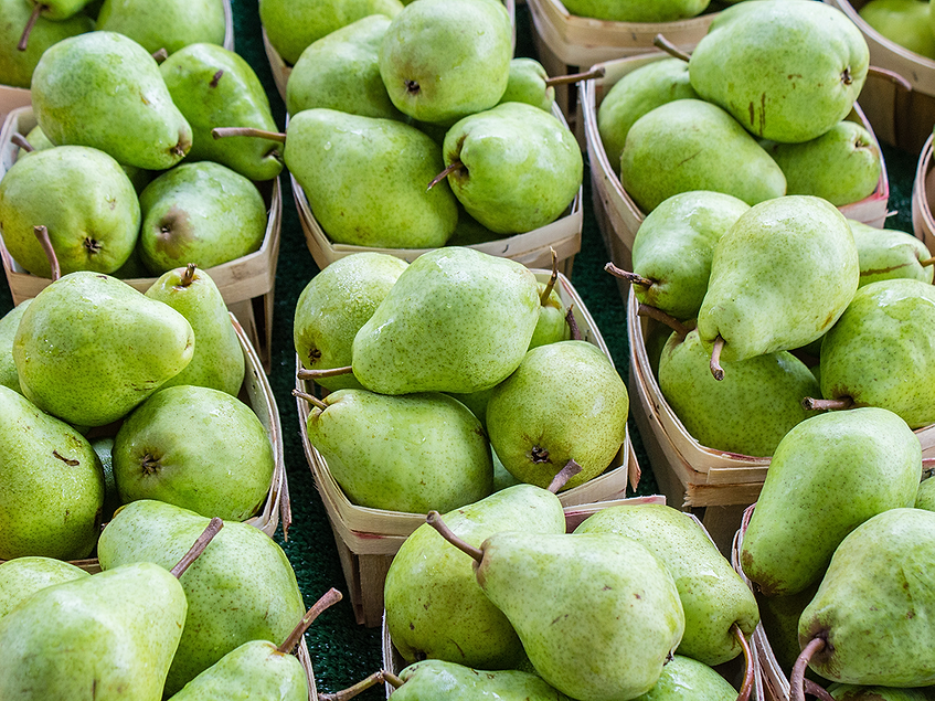 That rots: Pear declares bankruptcy | BioWorld