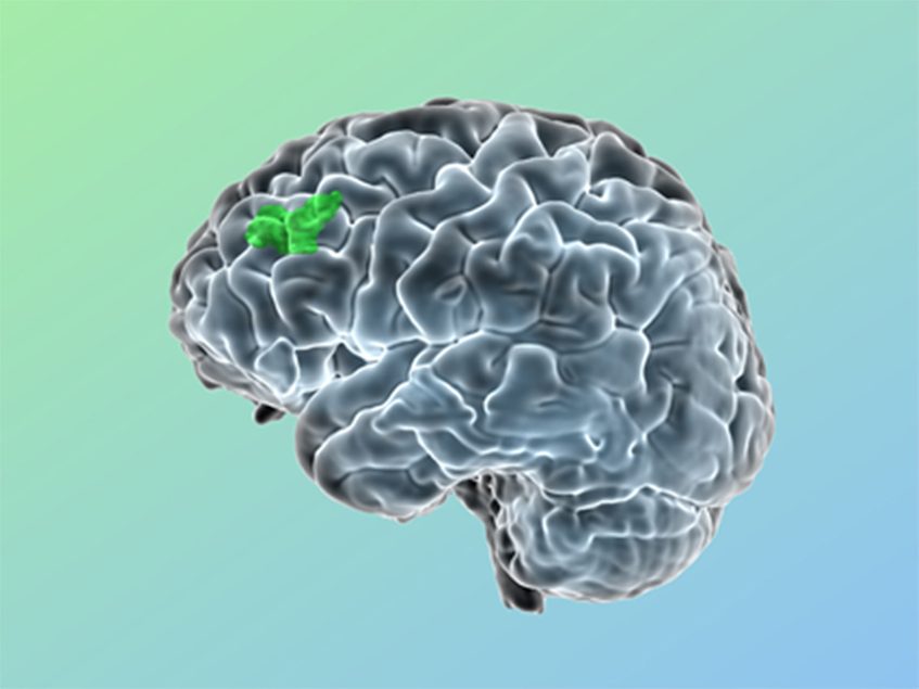 First participants in study treated using Saint neuromodulation for ...