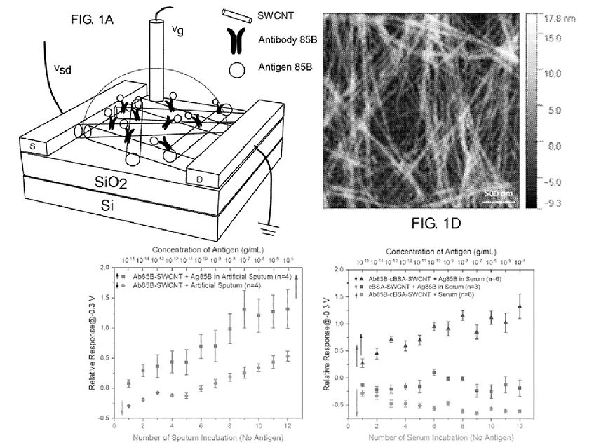 Researchers develop low-cost, rapid, POC test for TB | BioWorld