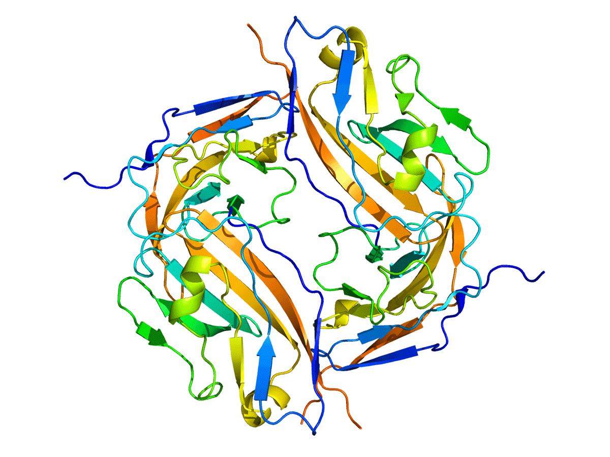 CD47 strikes again | 2020-07-02 | BioWorld