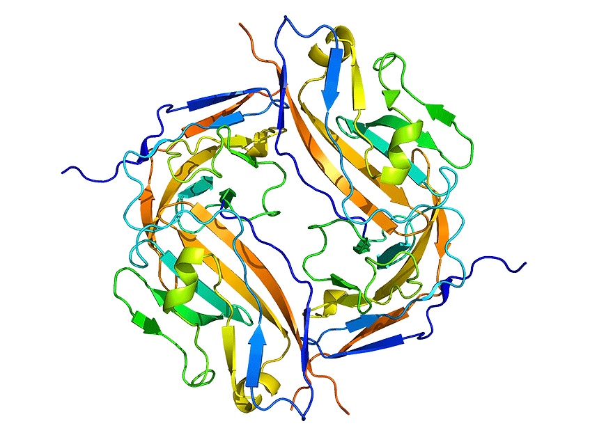 CD47 strikes again | 2020-07-02 | BioWorld