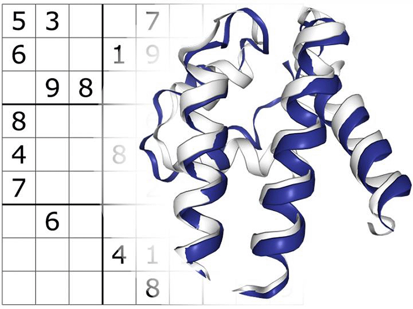 Sudoku Solving Algorithm Predicts Protein Structure Too 2020 09 23 Bioworld