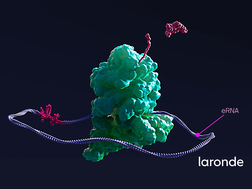 Flagship funds Laronde to seek therapies in circular RNA | 2021-05-10 ...