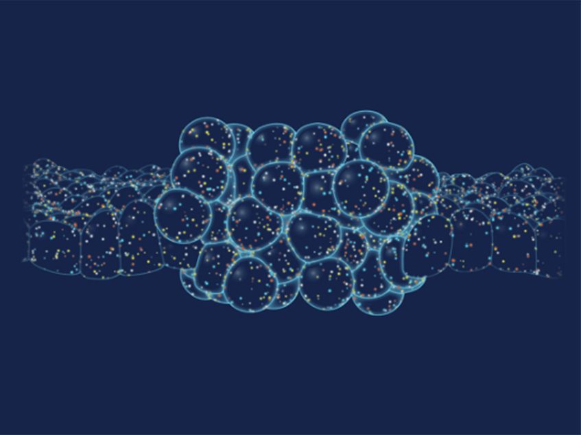 Precision target discovery at forefront for immunotherapy startup ...