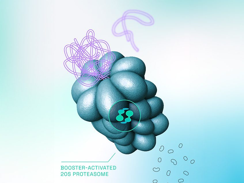 Booster launches with $15M, new approach in proteasome activation | BioWorld