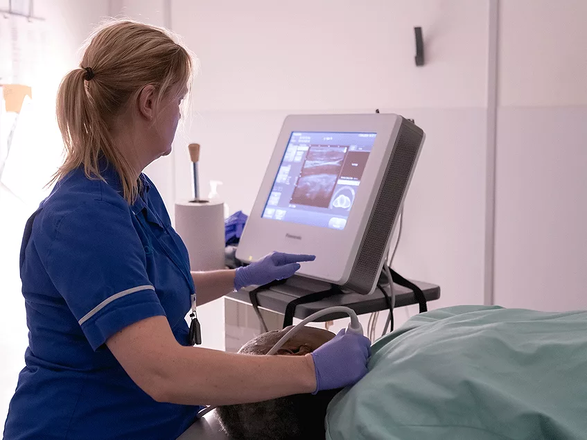 UK Biobank project complete, supports research with 100,000 scans ...