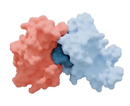 ARO-ALK7 demonstrates safety and efficacy in obesity mouse model | BioWorld