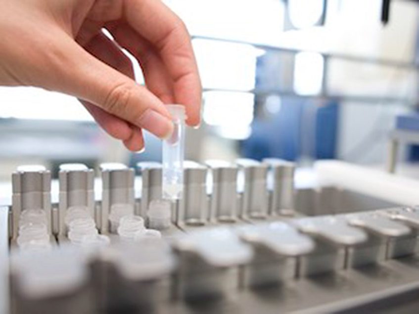 Roche follows other pharmas, committing $50B in US investment | BioWorld