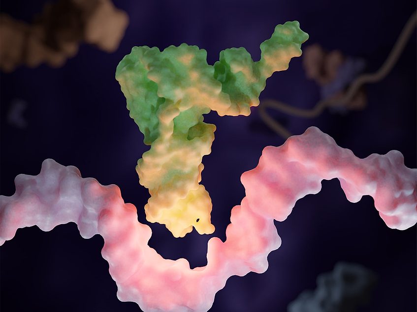 Alltrna advances tRNA-based strategy for stop codon diseases | BioWorld