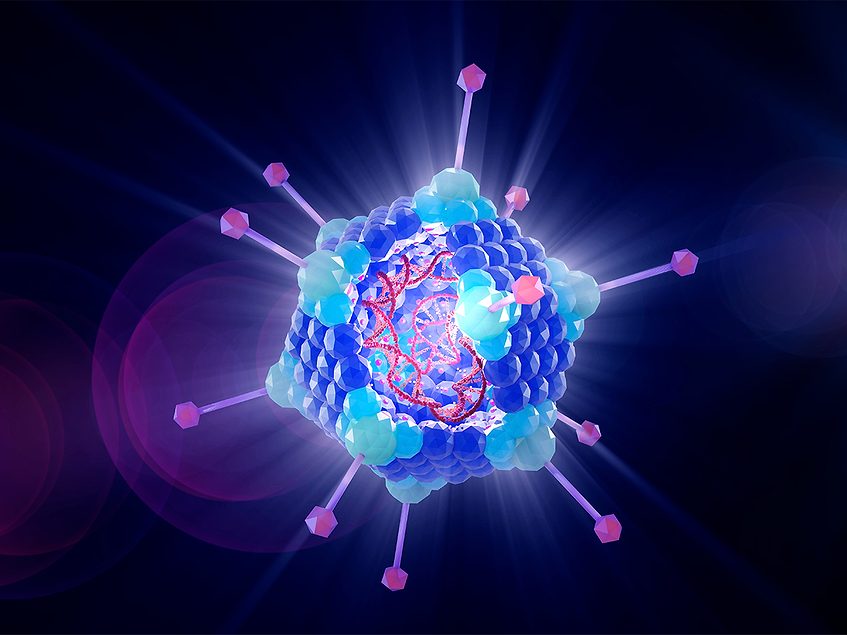 IND clearance for Mavrix Bio’s AAV gene therapy for Angelman syndrome ...