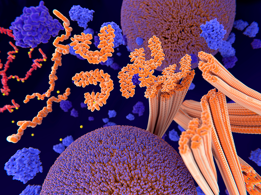 Stereopure gapmer ASOs targeting tau show promising preclinical safety ...
