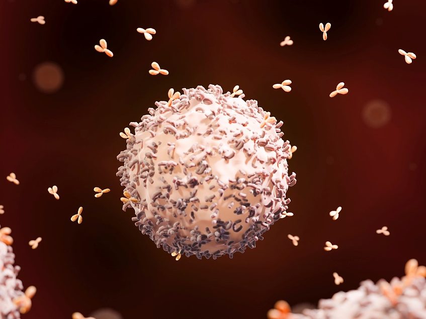 Engineered plasma cells produce effective bispecific antibodies against ...