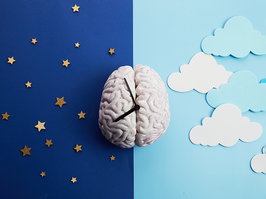 12-Hour as well as circadian brain rhythms disrupted in people with ...