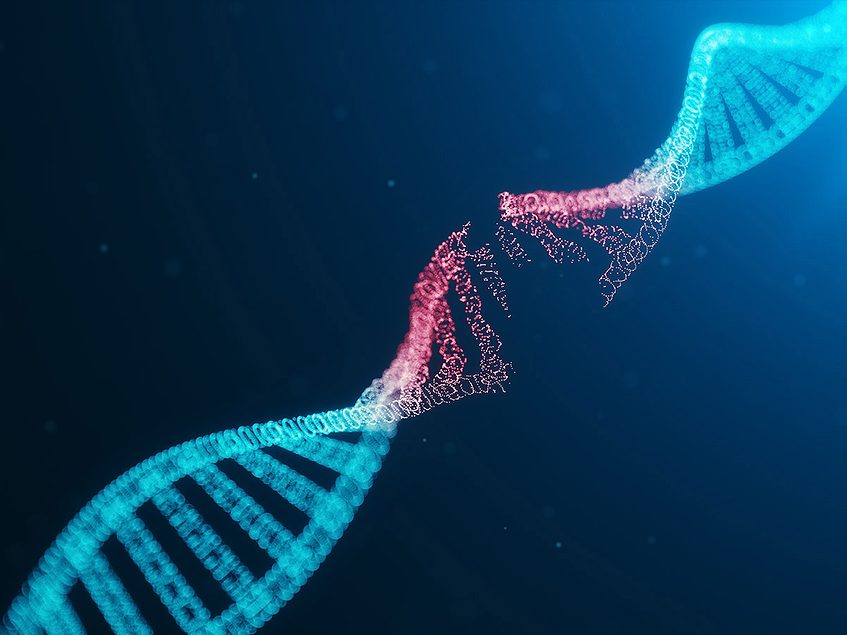 Isoform-specific targeting of DNA damage molecule gives broad ...