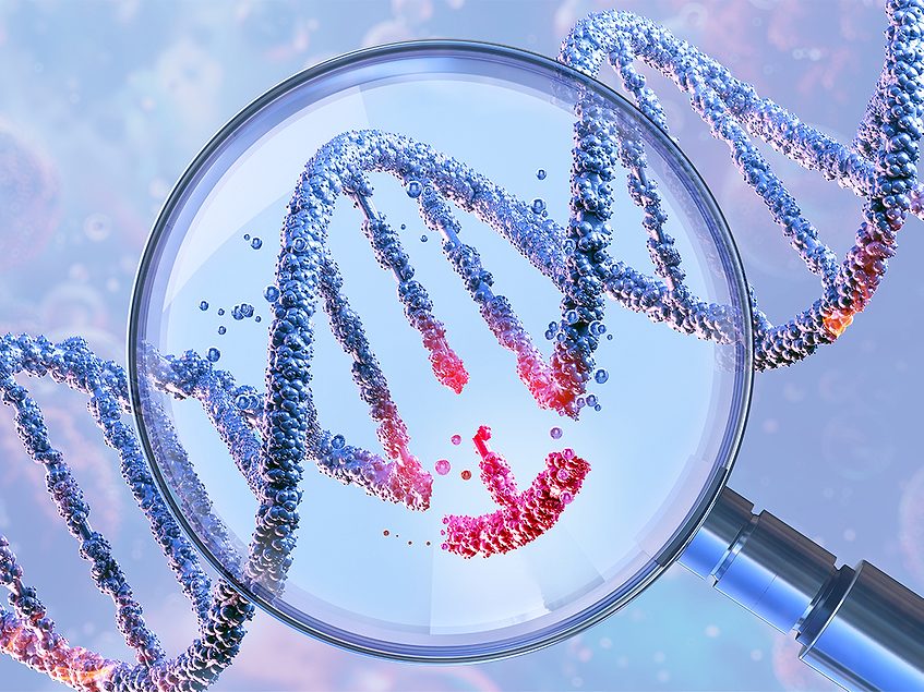 Columbia researchers use base editing to modify human embryo genome ...