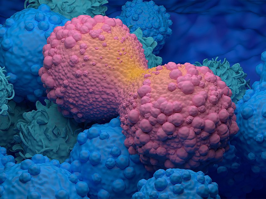 Telomir Pharmaceuticals submits IND in U.S. for Telomir-1 in TNBC ...