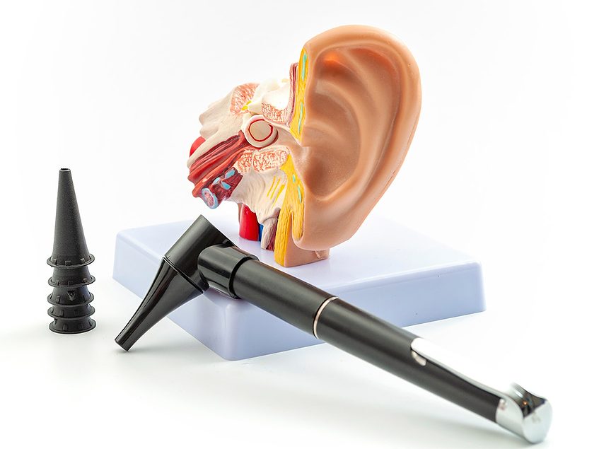 New animal model of eosinophilic otitis media developed | BioWorld