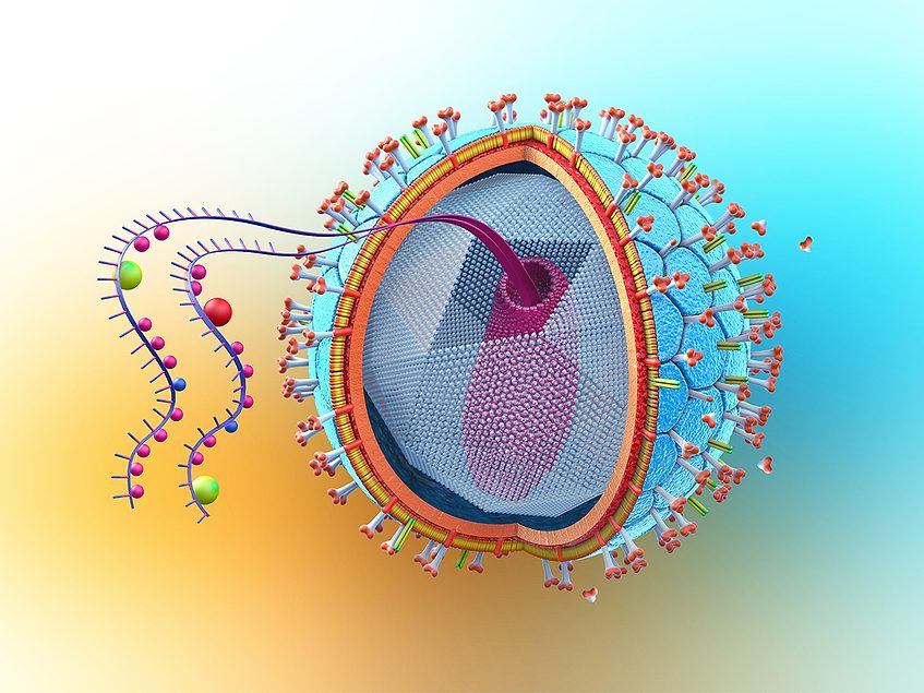 Combining multiple HIV epitopes elicits broad antibody responses | BioWorld
