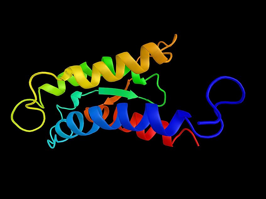Cullinan Therapeutics publishes work leading to development of fusion ...