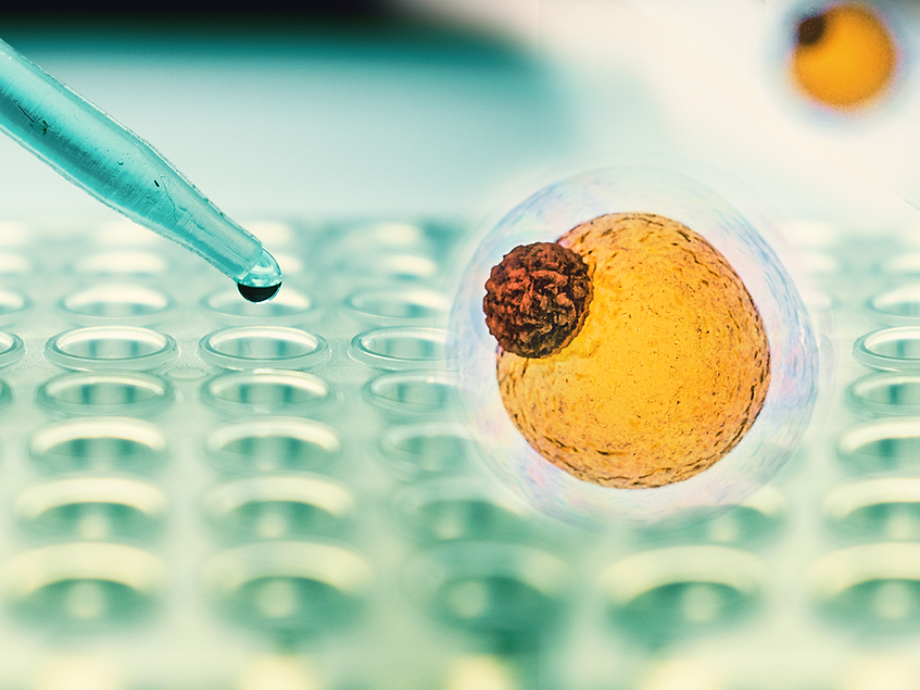 Inversago Pharma’s INV-347 improves metabolic dysfunction in obese mice ...