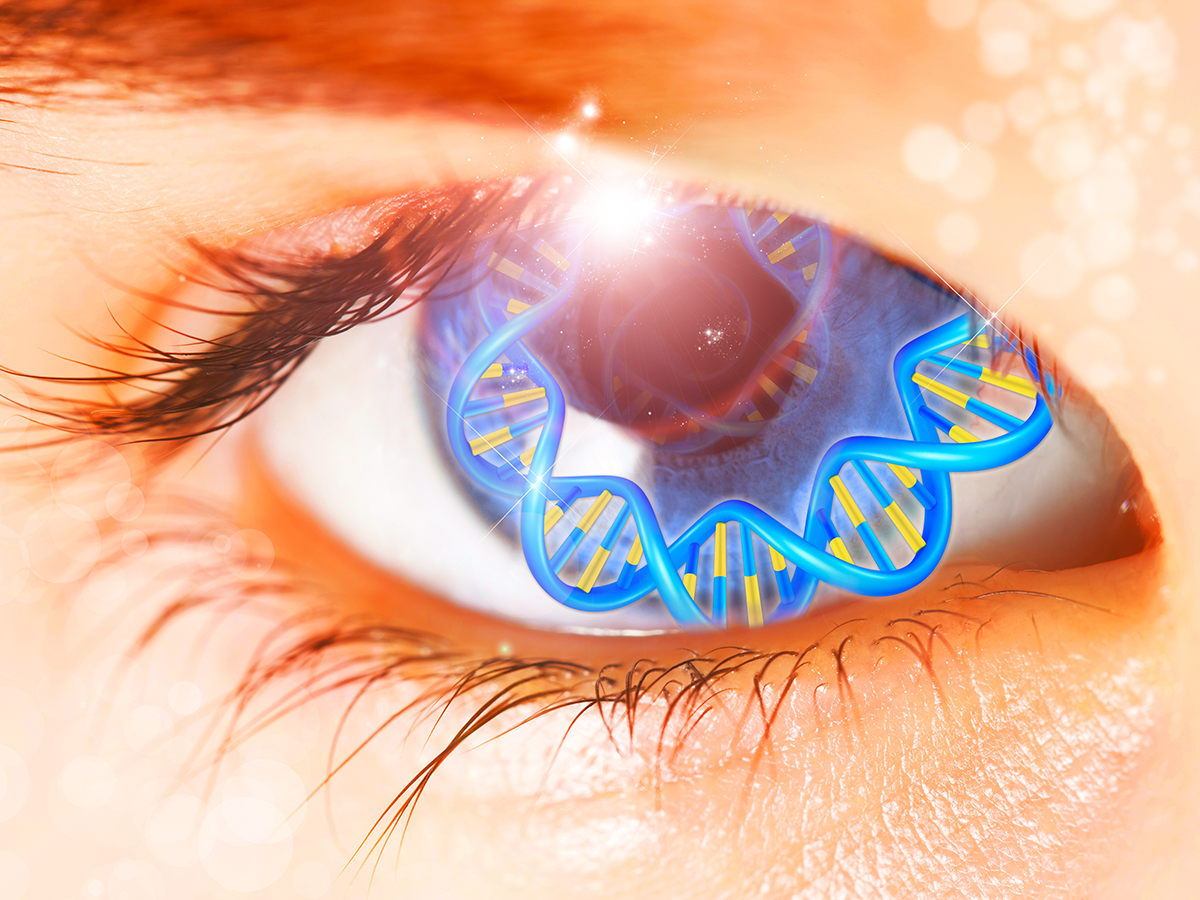 Double Iris Genetic Mutation