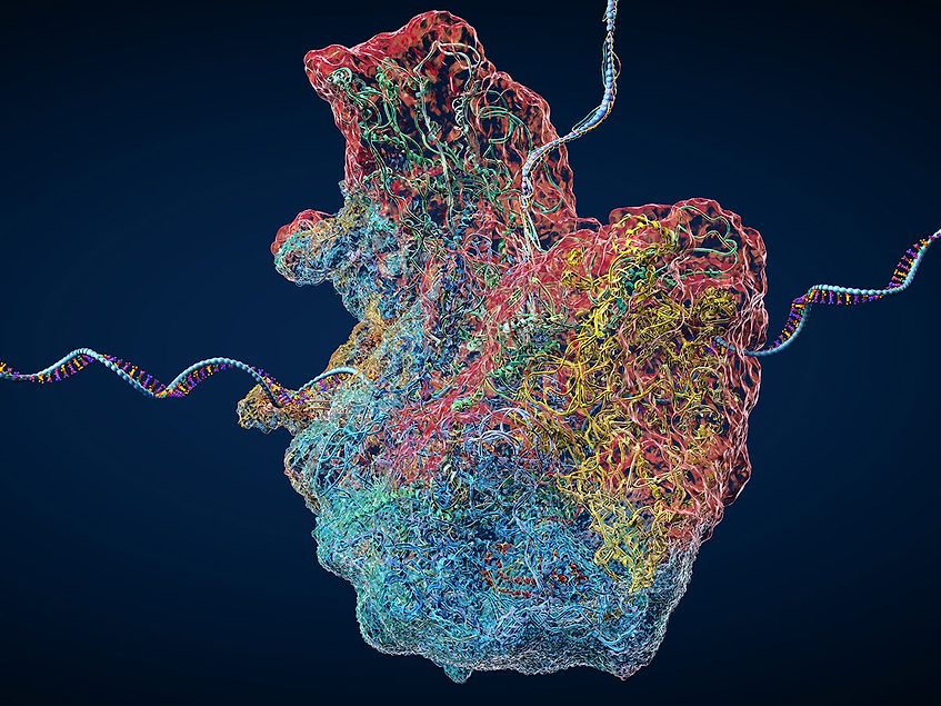 Rgt 61159 An Rna Targeting Small Molecule With Efficacy In Cancer Models Driven By Myb