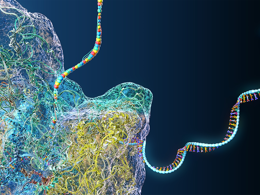 Immetas and GC Biopharma collaborate on mRNA therapeutics for ...
