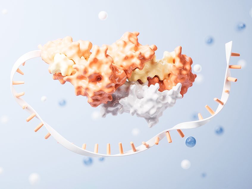 Alltrna’s engineered tRNA restores protein production in MMA and PKU ...