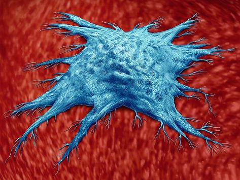 BioWorld Science: The Daily Drug R&D News Source