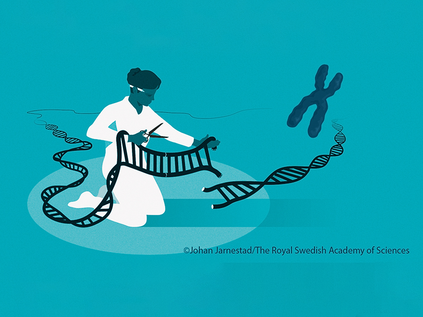 CRISPR activation mouse model can turn on previously silenced genes ...