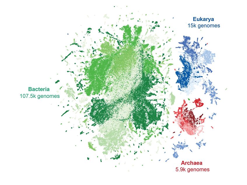 Evo 2 AI allows genome and epigenome modeling of all life domains ...
