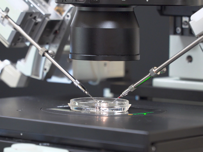 Standard method for evaluating germline edits has large blind spots ...