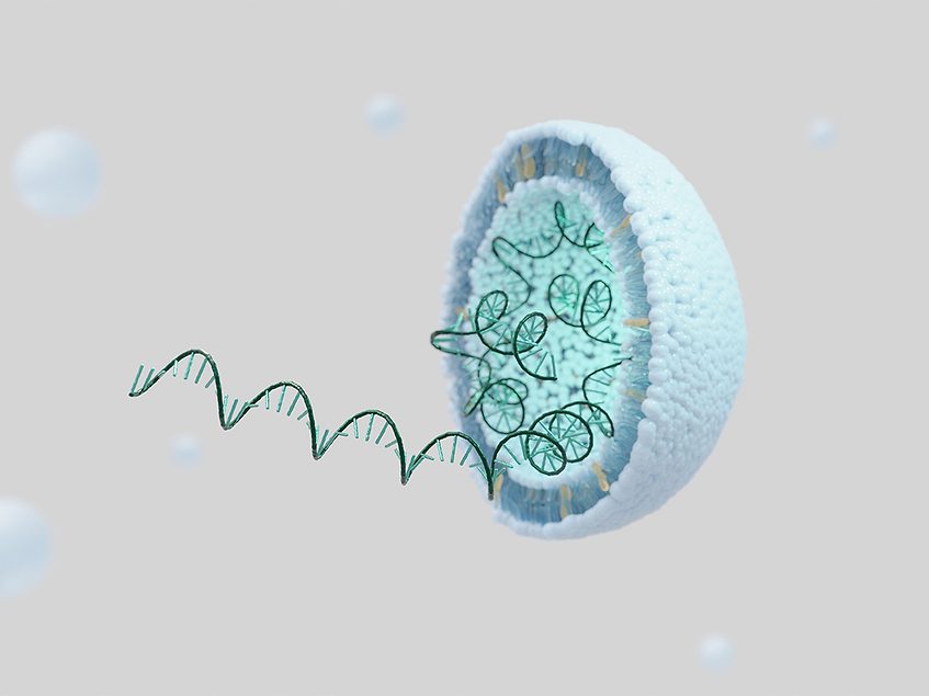 mRNA flu vaccine can activate broad germinal center response | BioWorld