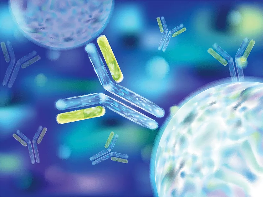 Abbvie gains rights to IGI’s trispecific ISB-2001 in $1.9B+ deal | BioWorld