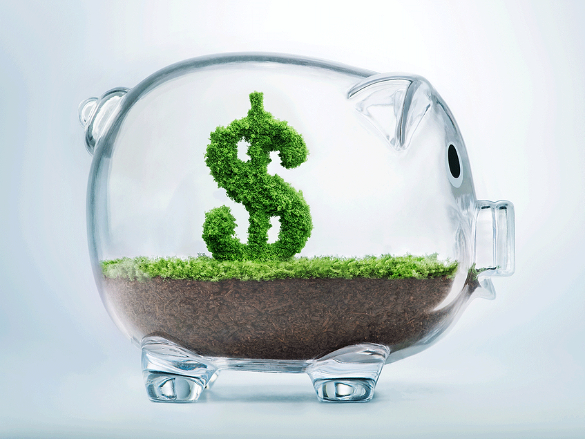 Spectrawave raises $13.2M for intracoronary imaging solution | 2021-02 ...