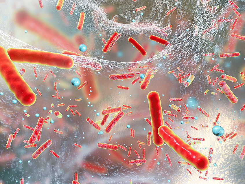 N-19004 inhibits biofilm formation in MDR pathogens | BioWorld