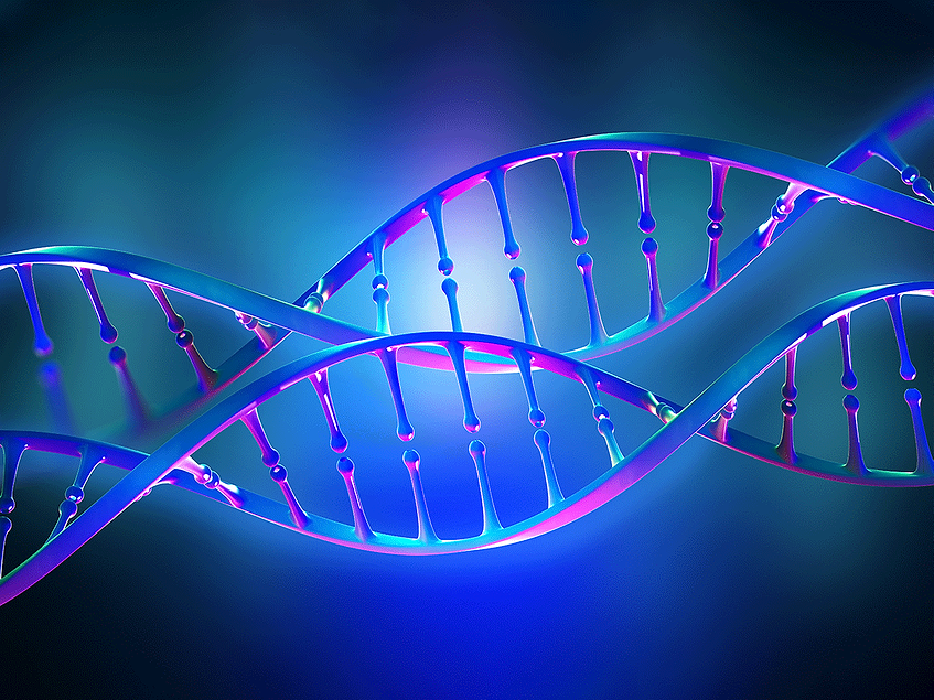 Jaguar primed to pounce with portfolio of early stage gene therapies ...