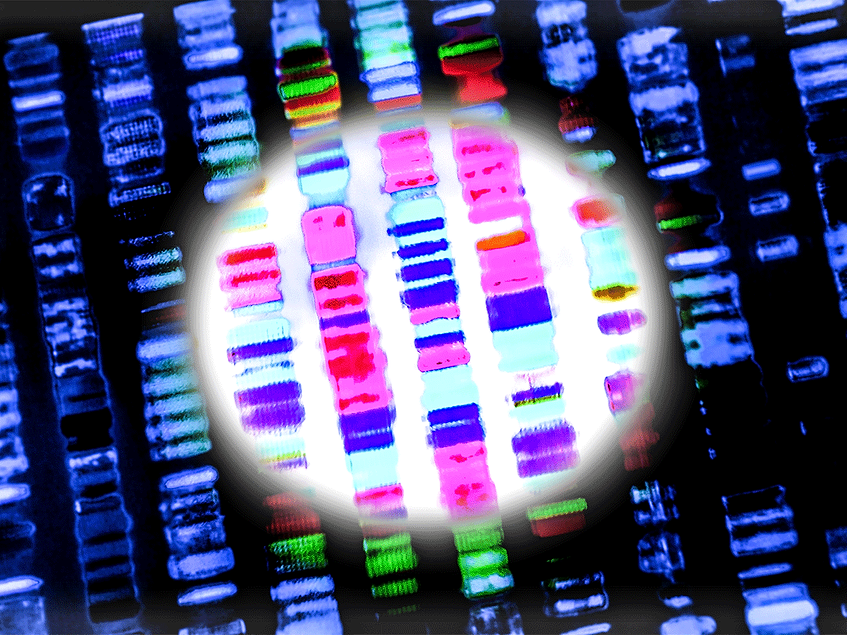 Complete Genomics sequencer reads human genome for under $100 | BioWorld
