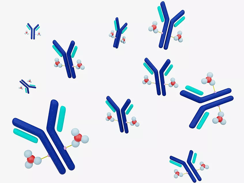 Arrivent Biopharma licenses ex-China rights to Lepu’s ADC for ...