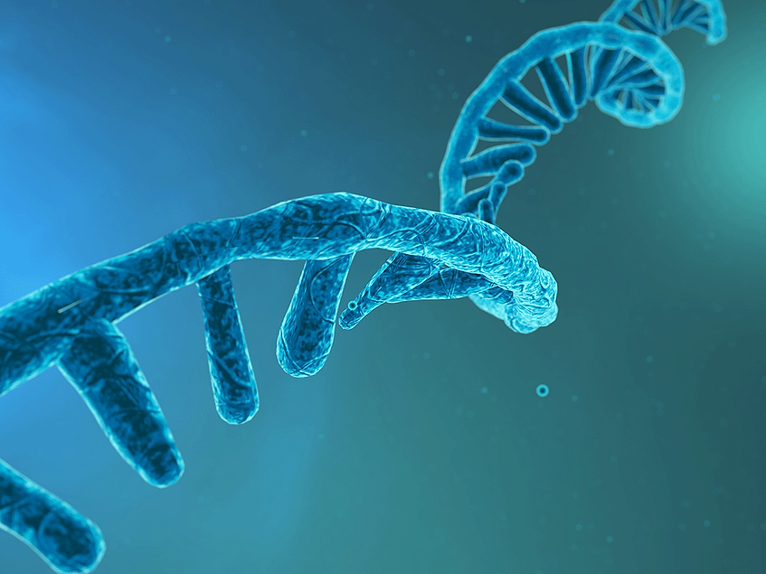 Antisense oligonucleotides targeting LINE-1 RNA could be used to treat ...