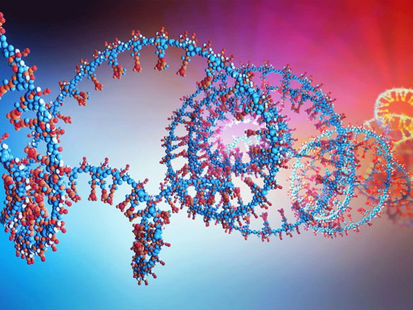 Mirecule and Sanofi collaborate on antibody-RNA conjugate for ...