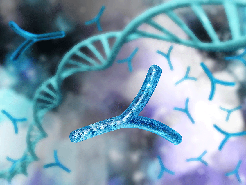 Spread of Y chromosome deficiency in myeloid cells with age promotes ...